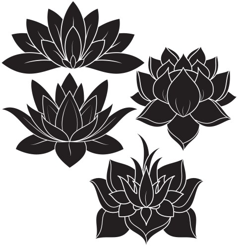 Lotus Vector Images (over 100,000)