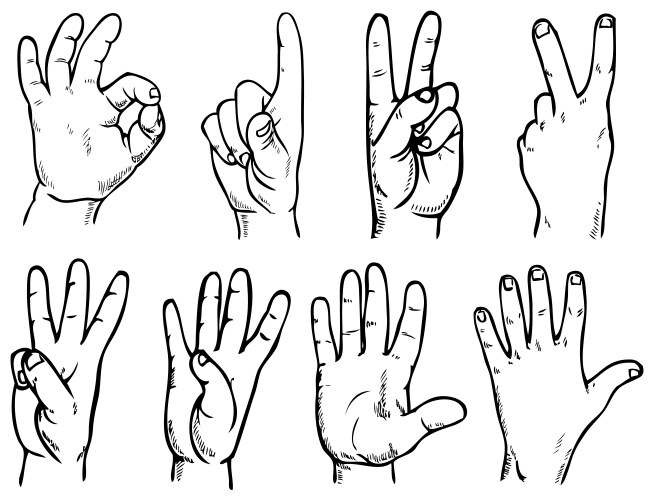 Cartoon hand counting Royalty Free Vector Image