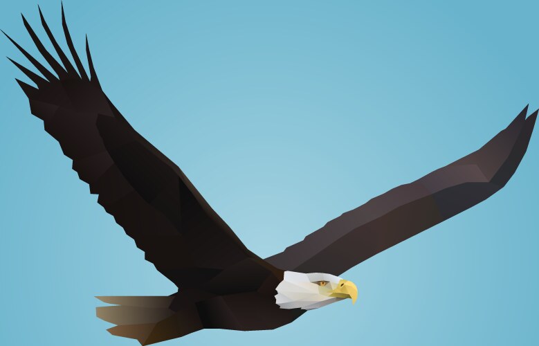Eagle Vector Images (over 78,000)