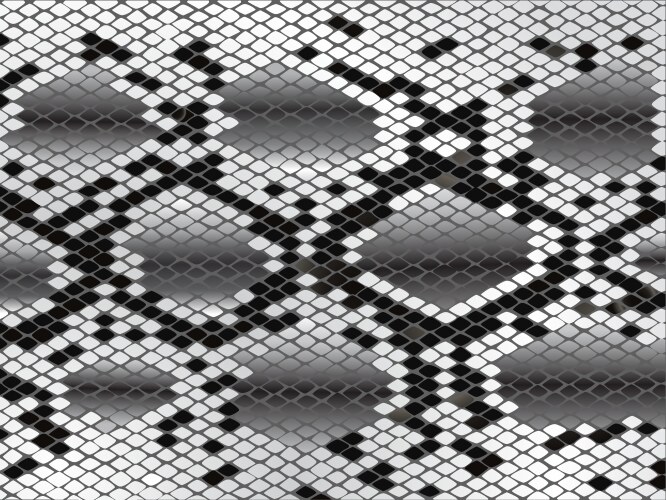 Snake Pattern Vector Images (over 13,000)