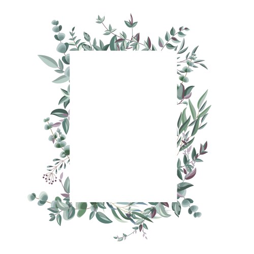 Eucalyptus Vector Images (over 18,000)