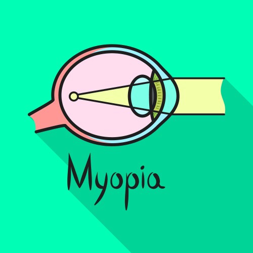 Macula fovea and foveola Royalty Free Vector Image