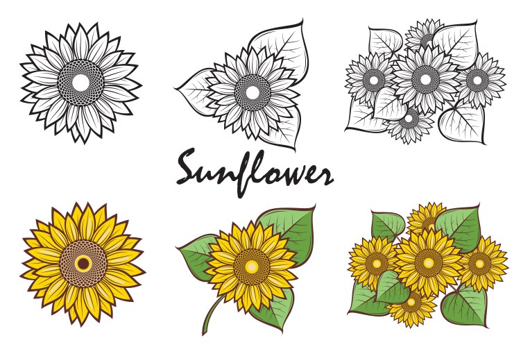 Sunflower Vector Images (over 45,000)
