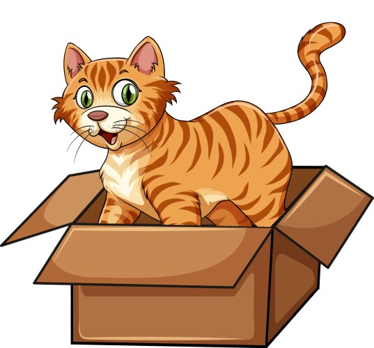 A cat inside the box Royalty Free Vector Image