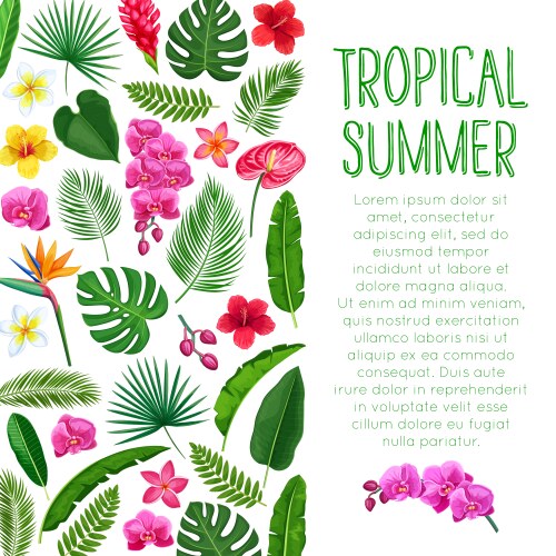 Tropical Vector Images (over 830,000)