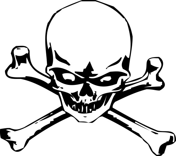 Pirate skull and crossbones Royalty Free Vector Image