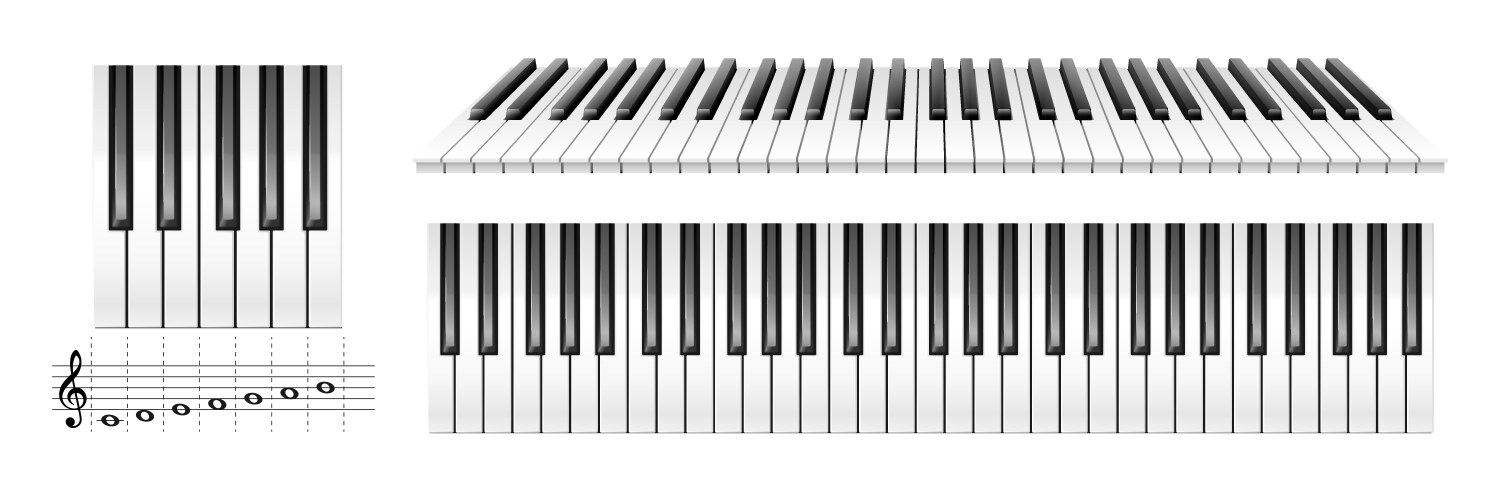 Piano keys and notes Royalty Free Vector Image