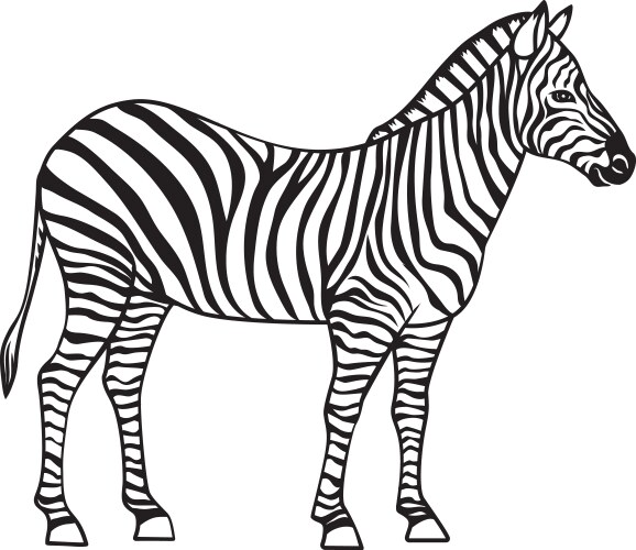 Zebra Outline Vector Images (over 3,300)