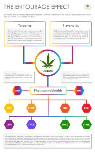 Entourage Vector Images (over 680)