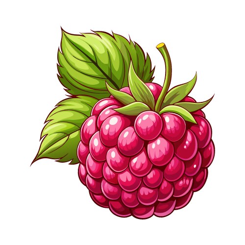 Raspberry Clipart Vector Images (over 650)