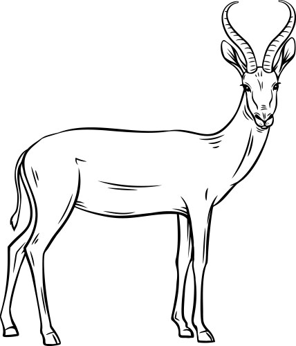 Antelope Outline Vector Images (über 1,100)