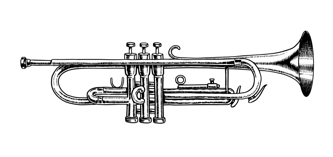 Trumpet Royalty Free Vector Image - VectorStock