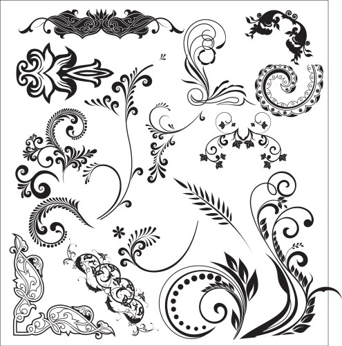 Floral design elements Royalty Free Vector Image