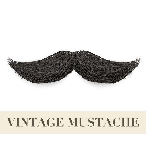 Curly Moustache Vector Images (over 4,100)