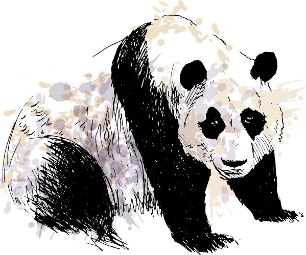 Panda Drawing Vector Images (over 15,000)