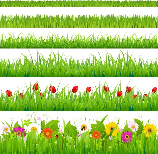 Flowers and grass Royalty Free Vector Image - VectorStock