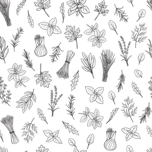 Sketch herbs and spices Royalty Free Vector Image