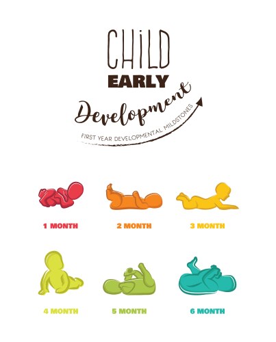 Baby development stages milestones first one year Vector Image
