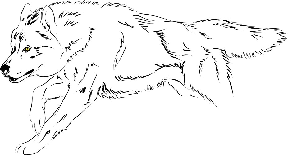 Outline wolf icon Royalty Free Vector Image - VectorStock