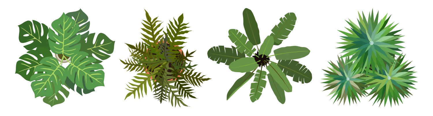 Indoor Plant Top View 10 Best Indoor House Planters And Plants That