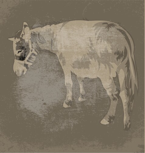 Donkey Vector Images (over 12,000)