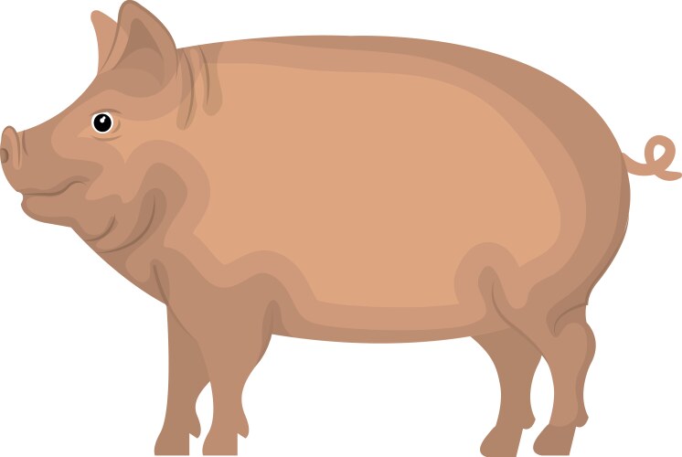 Pig farm animal Royalty Free Vector Image - VectorStock