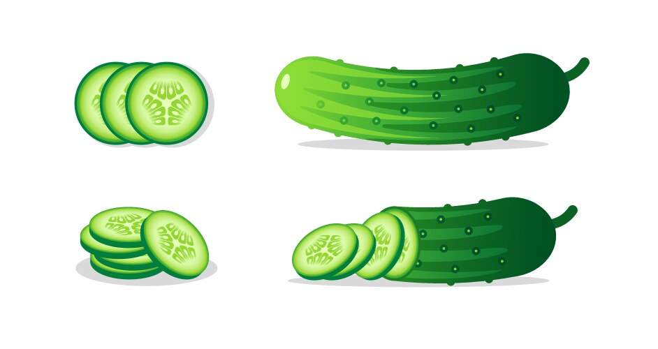 Cucumber slice isolated on white Royalty Free Vector Image
