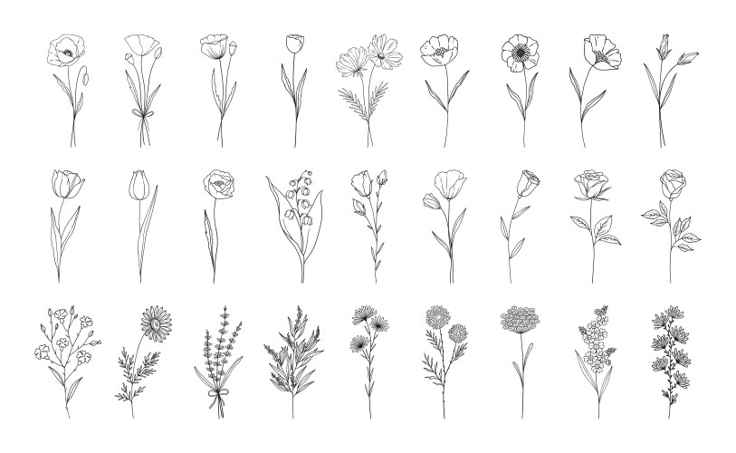 Line art floral elements Royalty Free Vector Image
