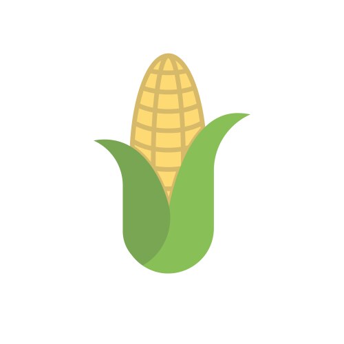 Corn yellow flat icon food natural Royalty Free Vector Image