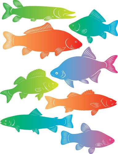 Freshwater fish theme image 3 Royalty Free Vector Image