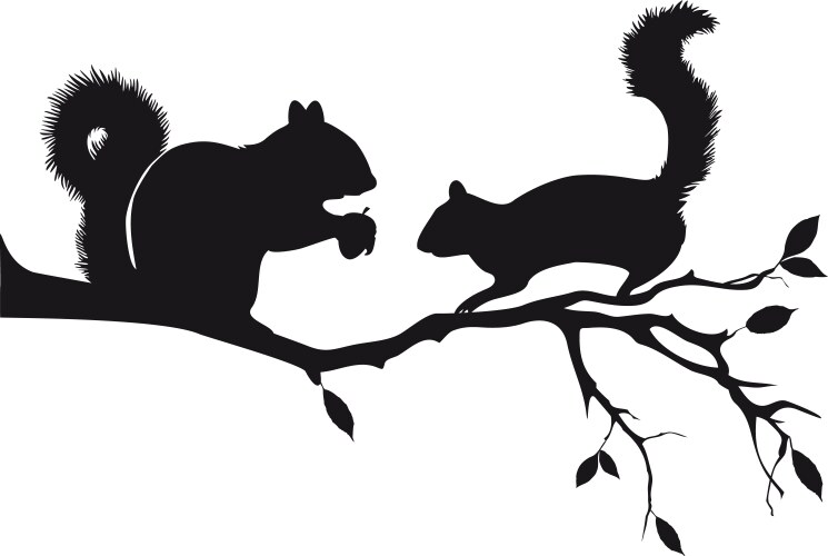 Squirrel Black and White Vector Images (over 3,000)