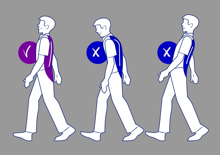 Human spine posture back view Royalty Free Vector Image