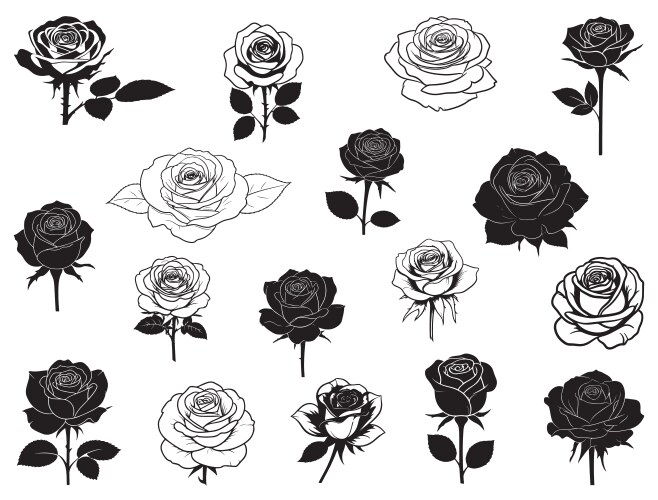 Rose Border Silhouette Vector Images (over 2,600)