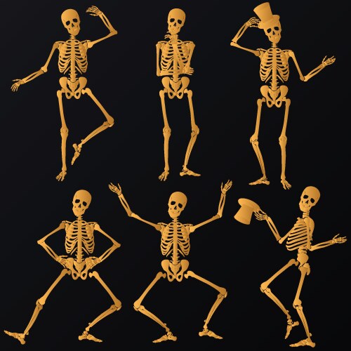 Funny dancing skeleton set Royalty Free Vector Image