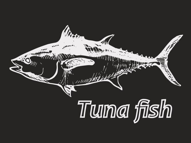 Tuna Vector Images (over 32,000)