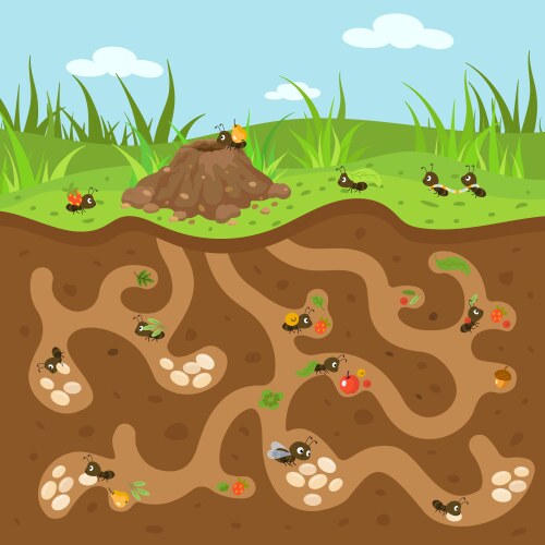 Anthill in forest land Royalty Free Vector Image