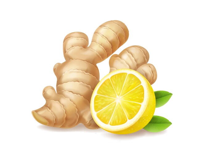 Honey ginger lemon and mint drawing Royalty Free Vector