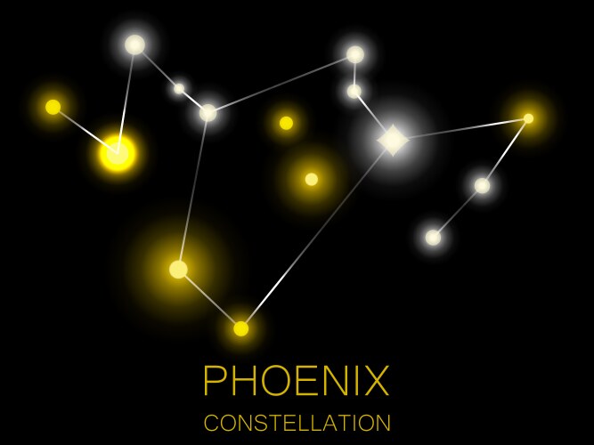 Phoenix constellation starry night sky zodiac Vector Image