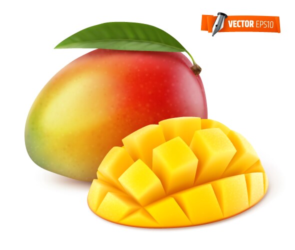 Mango Vector Images (over 22,000)
