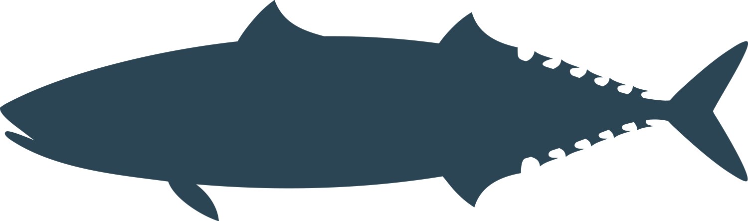 Mackerel Royalty Free Vector Image - VectorStock