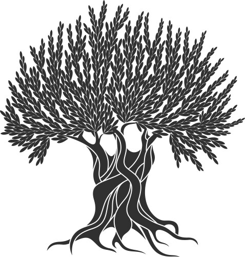 Old Olive Tree Vector Images (over 9,700)