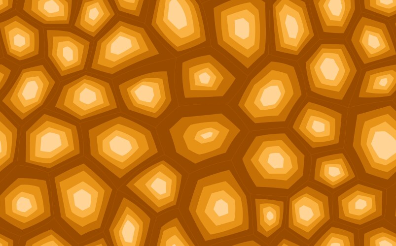 Turtle Skin Pattern Vector Images (over 120)