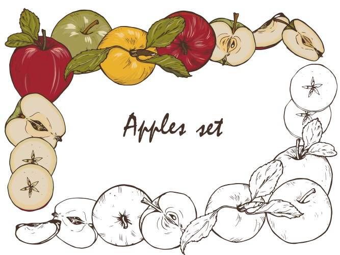 4 Apples Vector Images (over 2,600)