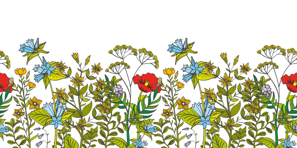 Seamless floral border with spring flowers Vector Image