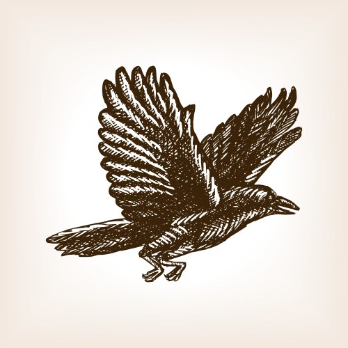 Flying crow Vector Images & Graphics for Commercial Use | VectorStock