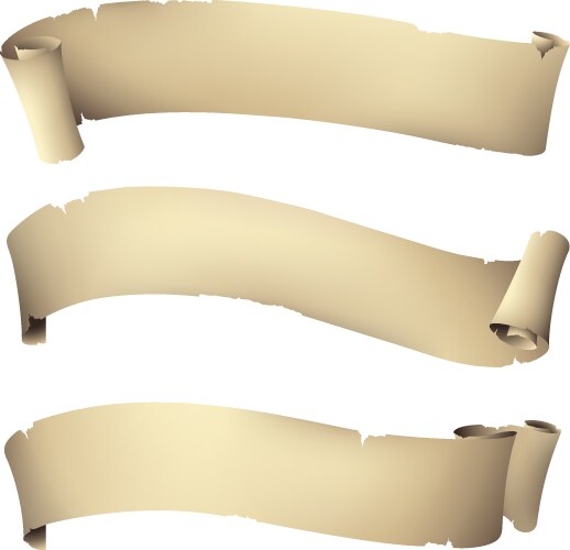 Scroll paper banner Royalty Free Vector Image - VectorStock