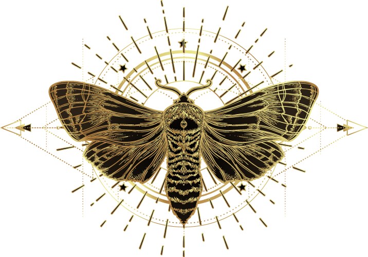 Golden moth over sacred geometry sign isolated Vector Image