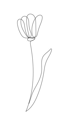 Continuous Line Flower Vector Images (over 9,800)