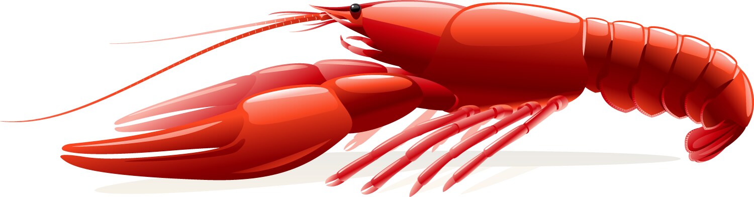 Crayfish color realistic image a river crab Vector Image