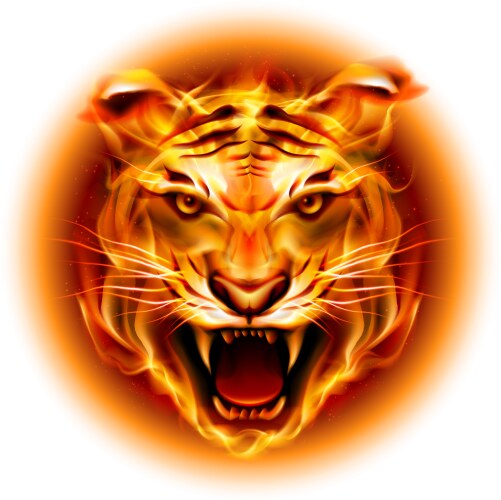 White Tiger Vector Images (over 78,000)